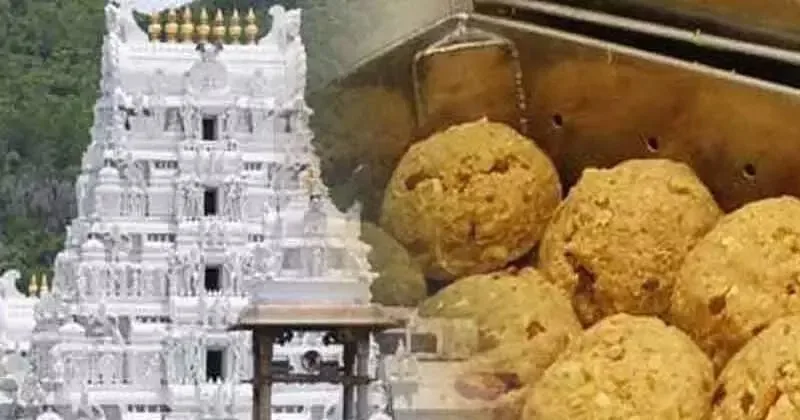മായം കലര്‍ന്ന നെയ്യ് വിതരണം ചെയ്‌തു; തമിഴ്‌നാട്ടിലെ എആർ ഡയറിക്കെതിരേ ...