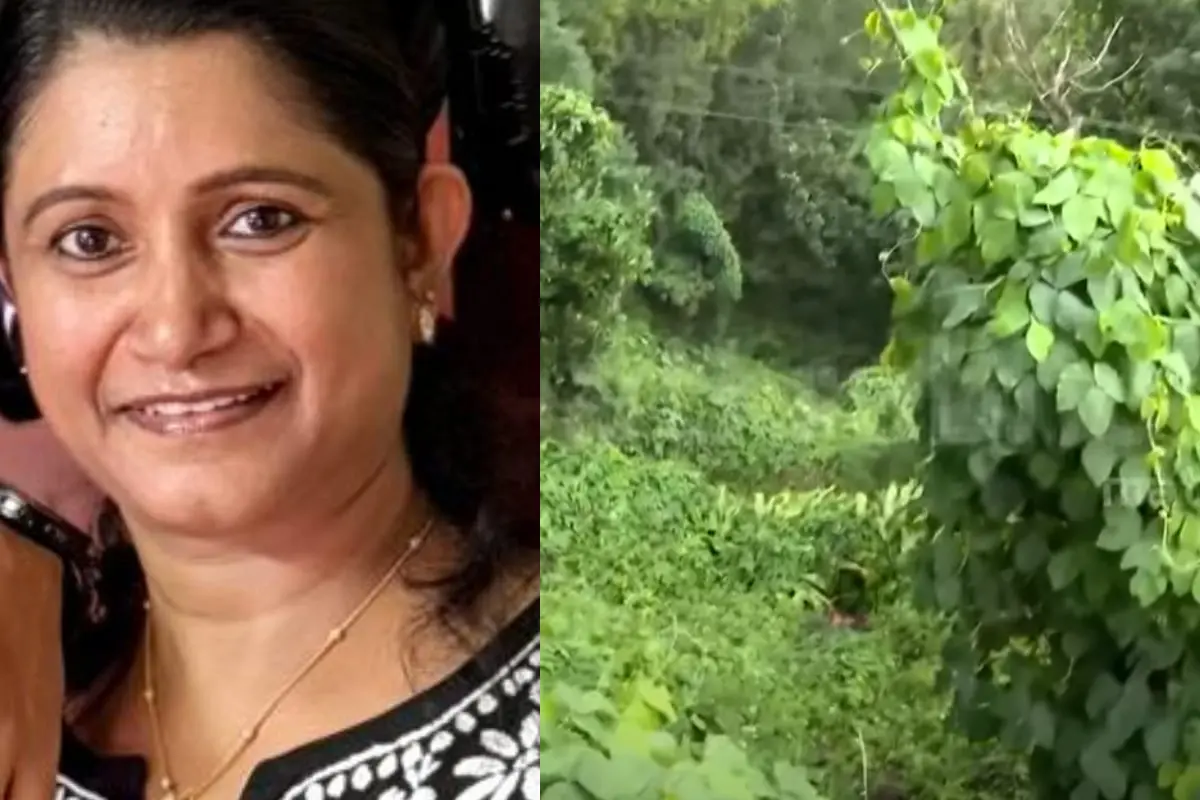 കാണാതായ വീട്ടമ്മയെ കൊന്ന് കൊക്കയിൽ തള്ളിയ സംഭവത്തിൽ കൂടുതൽ വിവരങ്ങ ...